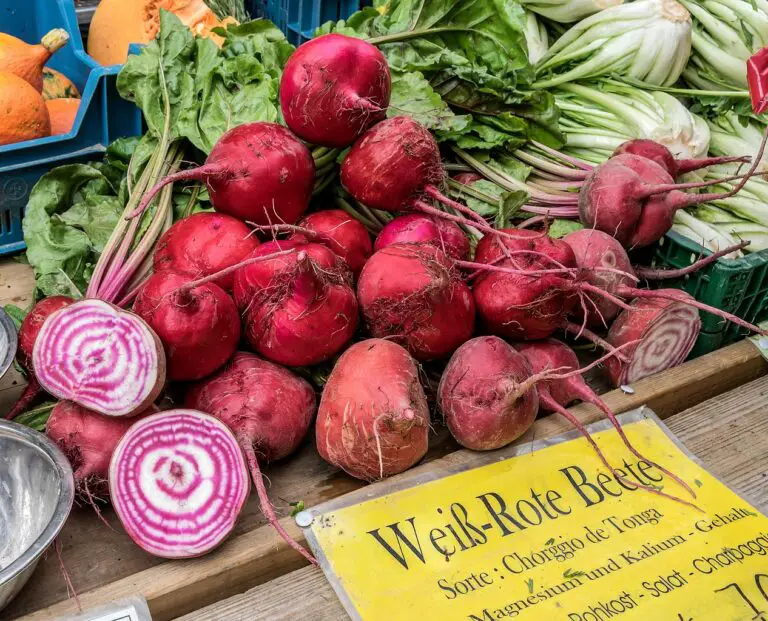Can Dogs Eat Beetroot? A Perfect Addition To Their Diet!