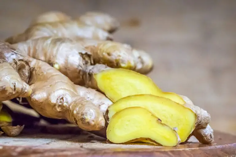 Ginger Woof! Can Dogs Eat Ginger?