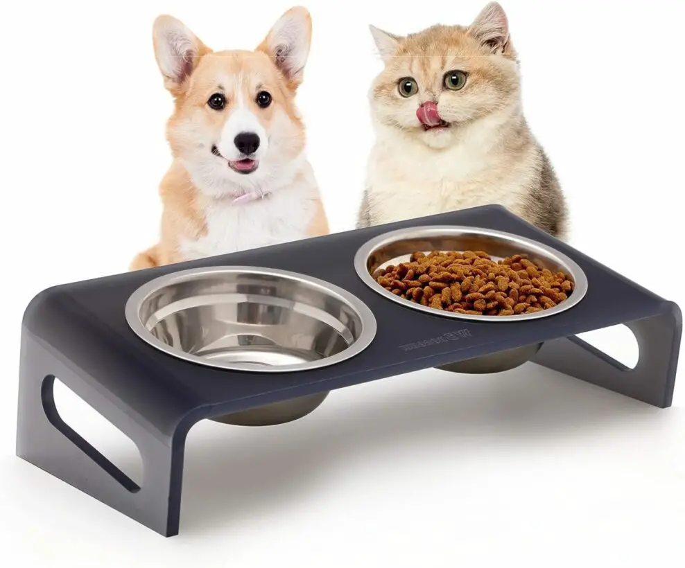 Top 10 Best Tilted Dog Bowls