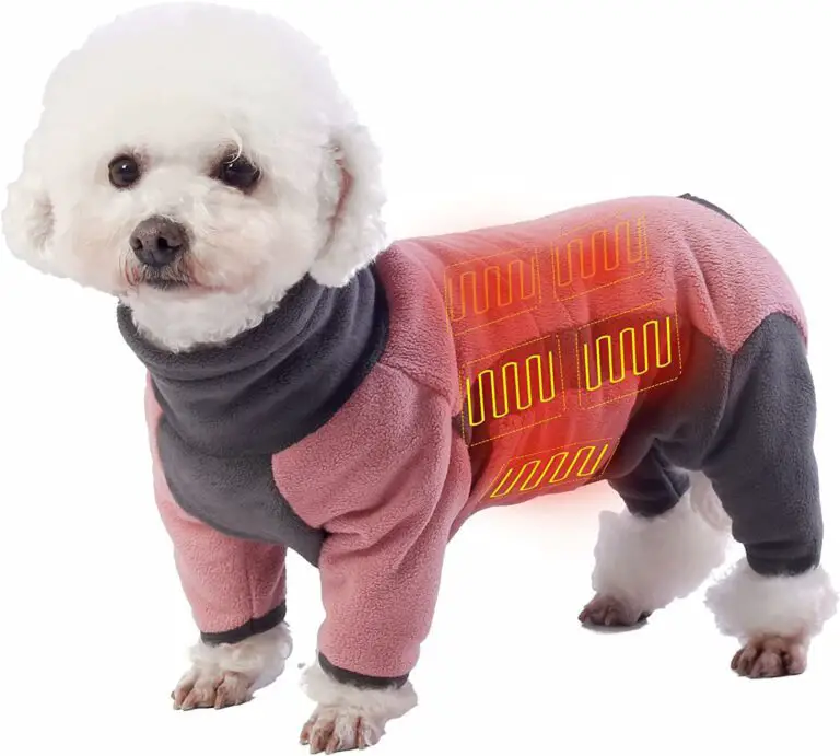 5 Best Heated Jackets For Dogs Reviewed By Vets