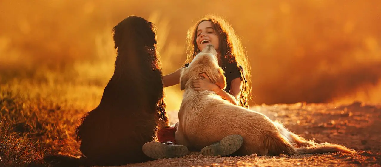 15 Best Dog Breeds For Families With Small Children