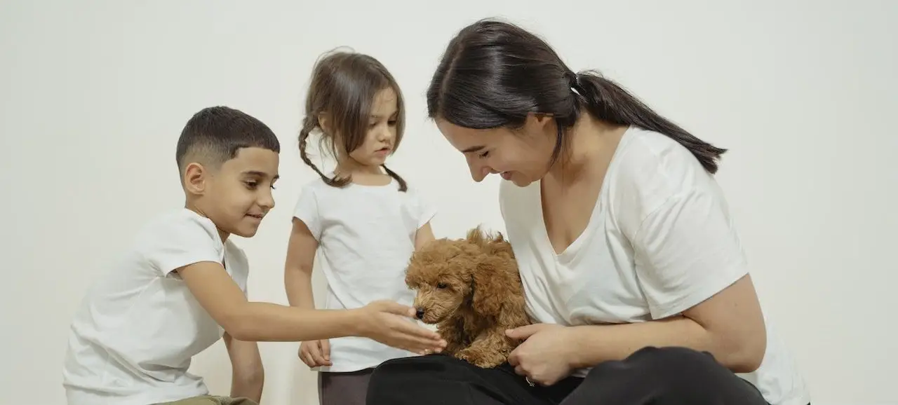 15 Best Dog Breeds For Families With Small Children