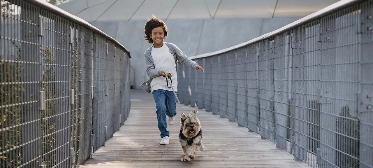 15 Best Dog Breeds For Families With Small Children