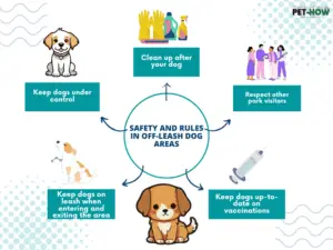 Exploring The Best Off-Leash Dog Areas: A Complete Guide