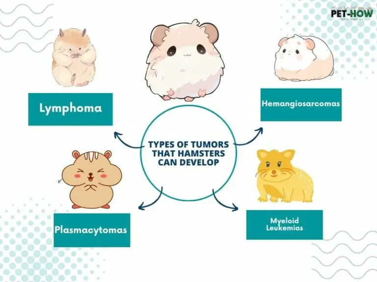 Warning Signs: 10 Tumor Symptoms in Hamsters